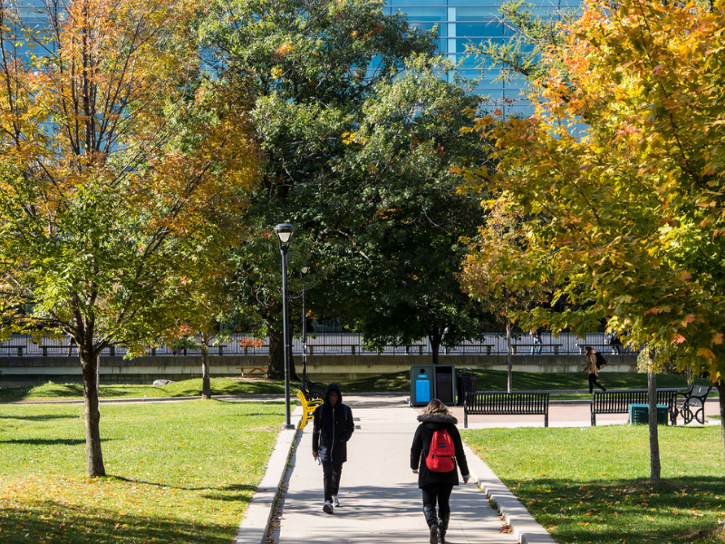 Current Students - Page 6 of 174 - Carleton University : Current Students